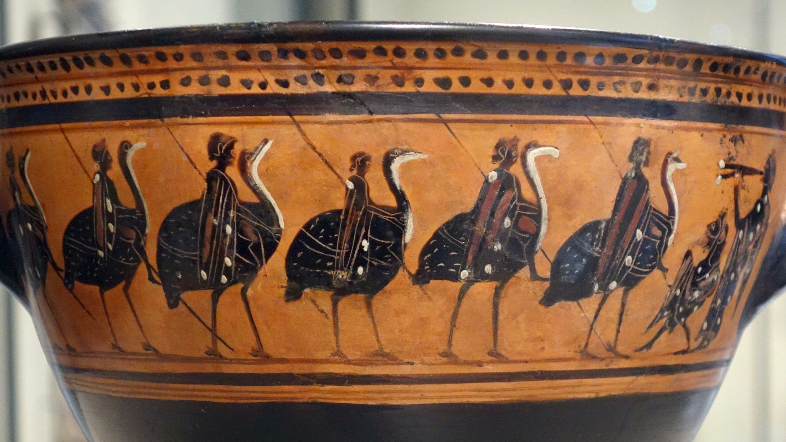 Ostrich on the menu - Nunc est bibendum