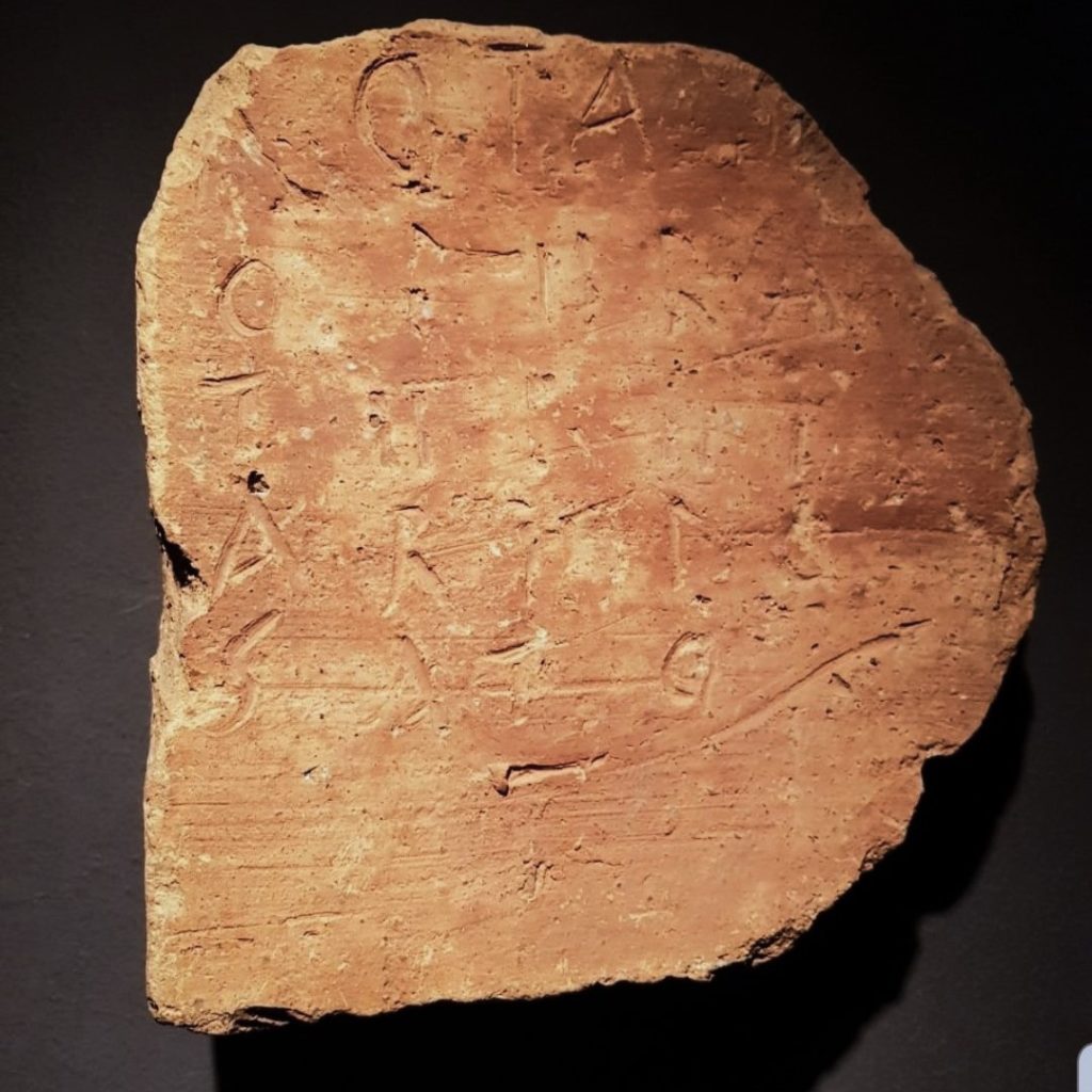 The SATOR square or the magic of words - Nunc est bibendum