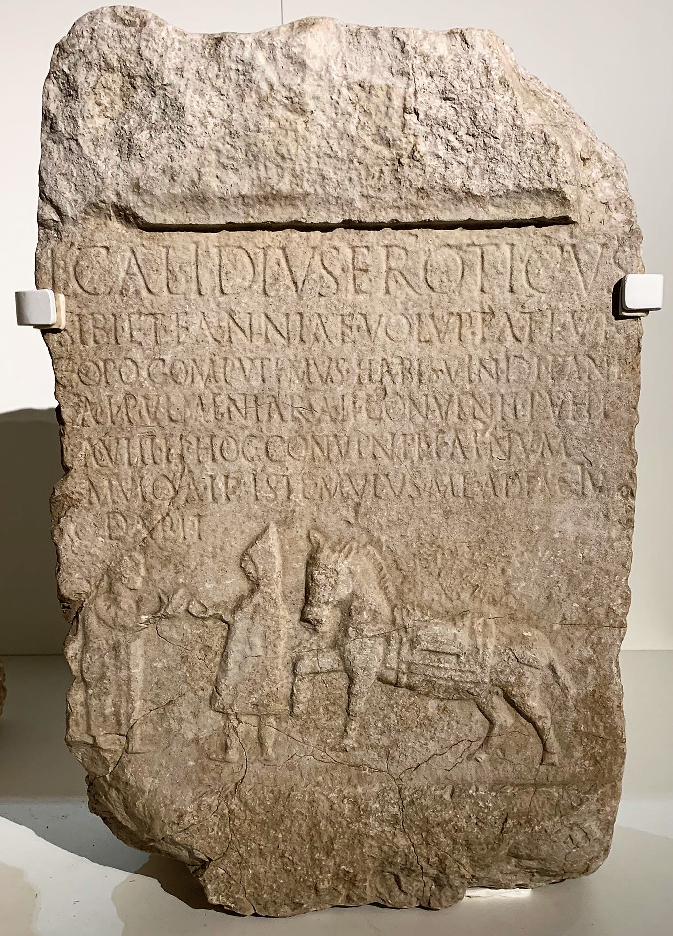 At Calidius', everything is hot - Nunc est bibendum